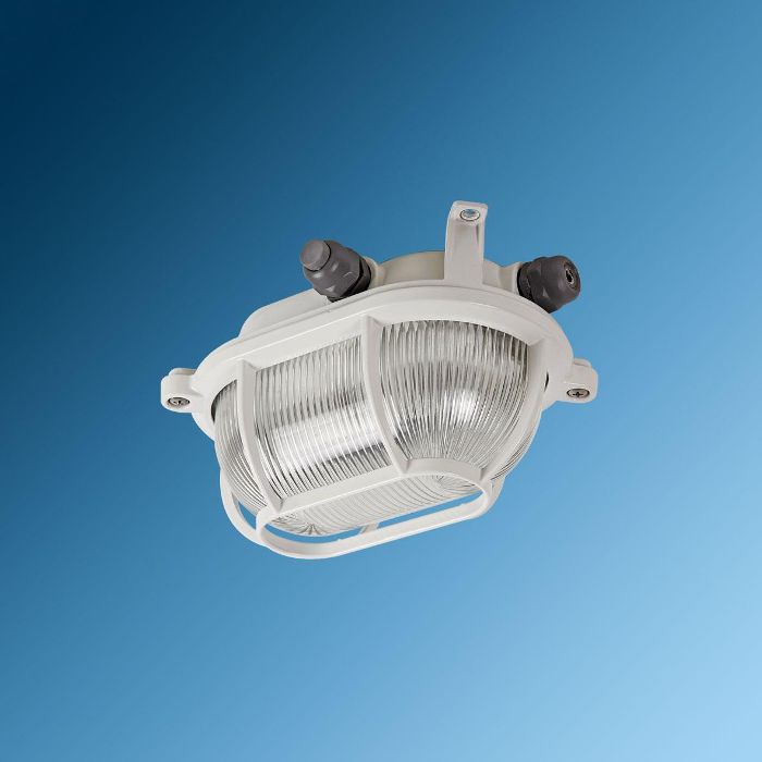 DIALux Luminaire Finder - Product data sheet: 100W ROCKY Oval shaped ...