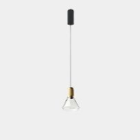 DIALux Luminaire Finder - Product data sheet: Iris Pendant Surface Big Cone